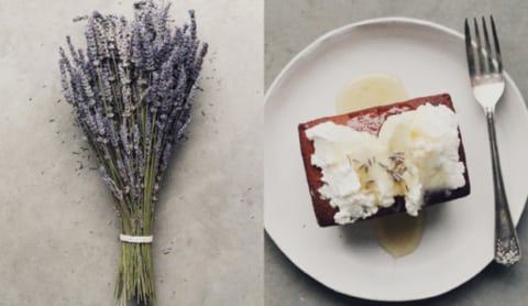 Natural Treatments For Shingles - Family Health Diary