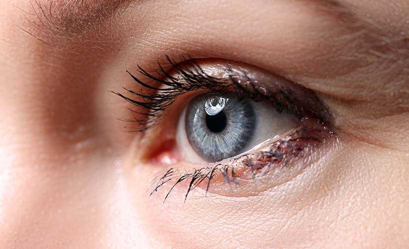 Insight into Iridology - Family Health Diary