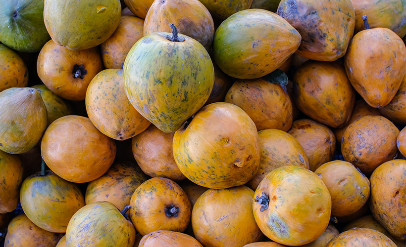 Superfood Superstar Focus: Lucuma - Family Health Diary