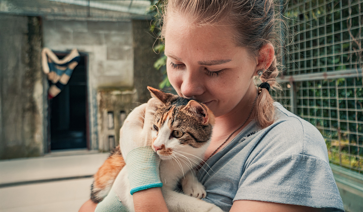 How To Decide On A Rescue Pet | Family Health Diary