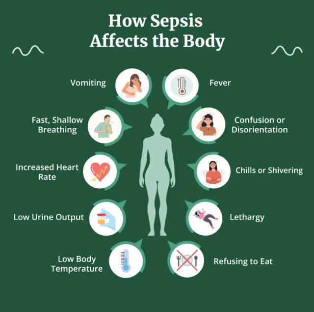 Sepsis – What Is It And How To Recognise It | Family Health Diary